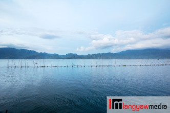 Sinarapan in Bicol, world’s smallest edible fish - LANGYAW